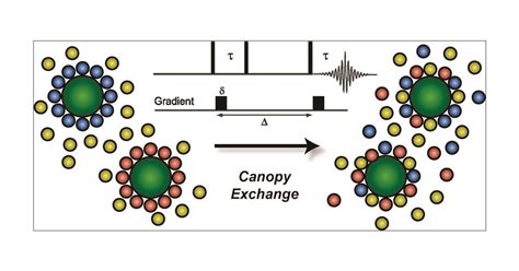 canopy dynamics in nanoscale ionic materials acs nano