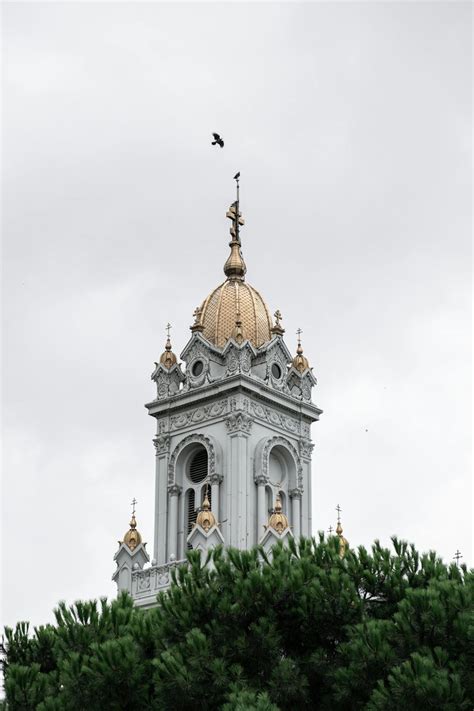 건물 건축 경치 경치가 좋은 고딕 스타일 교회 교회의 구조 기독교 기독교의 나무 녹지 대성당 도시 풍경 돔 디자인 랜드마크 문화 유산 문화적
