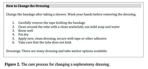 Care Of The Patient With A Nephrostomy Tube