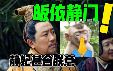 琅琊榜皇帝：皈依静门！只有静妃甚合朕意【用皇帝视角打开琅琊榜】3 大喜唠嗑家 大喜唠嗑家 哔哩哔哩视频