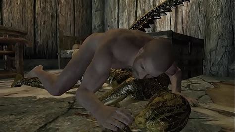 Skyrim Mod Sex ポルノ動画 エロ動画