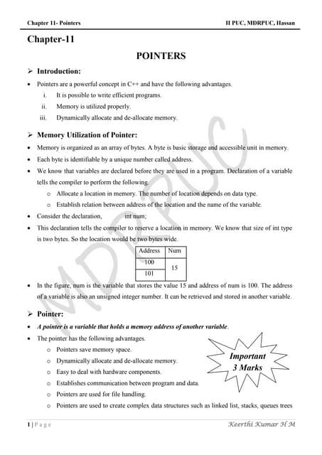 chapter 11 pointers pdf