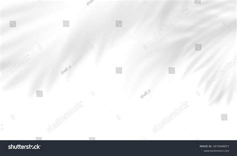 Abstract Leafs Transparant Over 79581 Royalty Free Licensable Stock