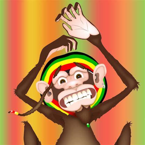 Meet Irie The Monkey