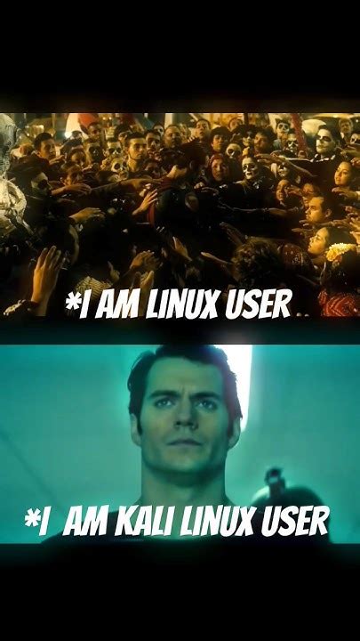 Kali Linux User ☠️☠️🤣🤣memes Cybersecurity Shorts Youtube