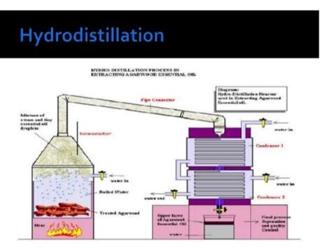 Extraction Of Volatile Oils