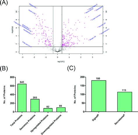 Proteomic Analysis For Secretome Differential Proteomics Analysis Done Download Scientific