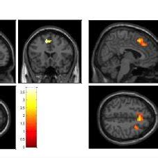 Figure S3 Related To Figure 3 Download Scientific Diagram