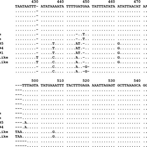 Sequence Differences In The Hypervariable Region Of The Small Subunit Download Scientific