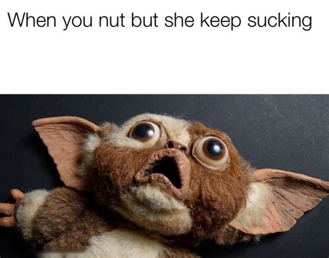 I Think I Downloaded The Wrong Gremlins R Memes Of The Dank