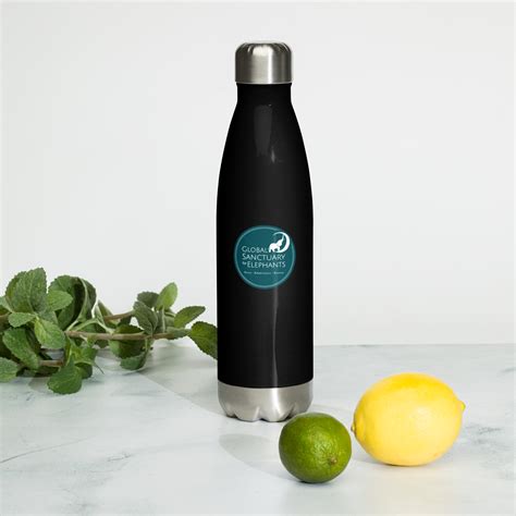 Stainless Steel Water Bottle Circle Logo Global Sanctuary For