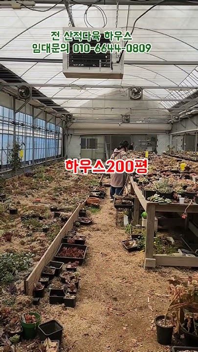 다육이 하우스 임대합니다💕경기도 화성시 정남면 용수리67 18💘임영웅 月亮代表我的心 Succulents 다육이