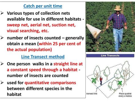 Different Sampling Techniques For Insect Population Estimation Pdf