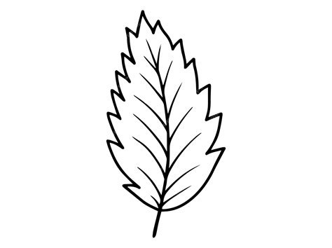 Premium Vector Hand Drawn Leaves Sketch Line Art Illustration