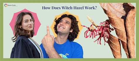Witch Hazel Extract In Skin Care Products Skin Type Solutions