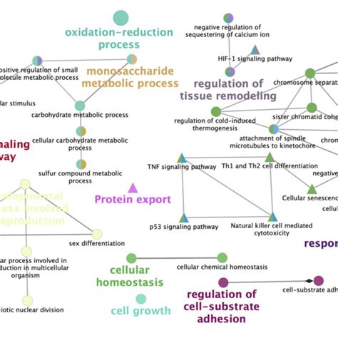 Pie Chart Representation Of Gene Ontology Go For Genes