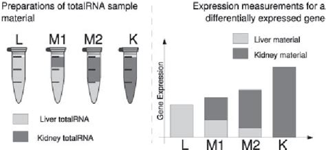 Figure 1 From Cross Platform Comparison Of Microarray Data Using Order Restricted Inference