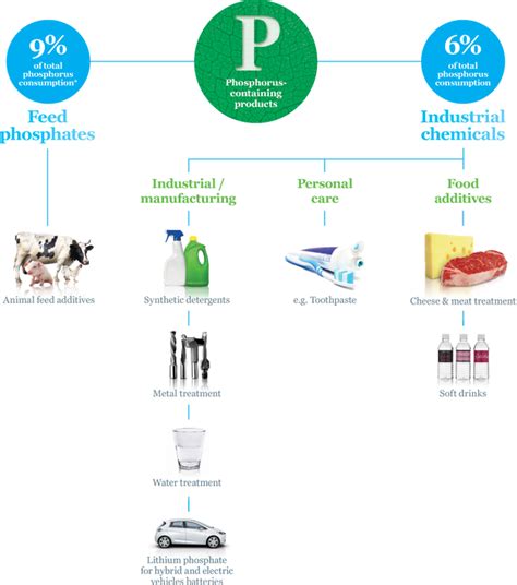 Fundamental Phosphorus And Oxygen Upload Ross Eckley