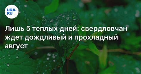 Каким будет август 2025 в Свердловской области прогноз синоптика Шувалова