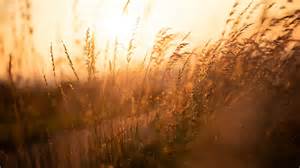 Секновение е Казваме сбогом на лятото Новини бг