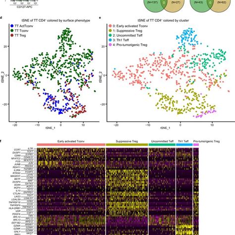 Monocle Single Cell Trajectory Of Tumor Infiltrating Cd4⁺ Tc From Download Scientific Diagram