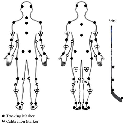 Basic Phases Of A Badminton Stroke Backswing Frames 1 7 Forward Download Scientific Diagram