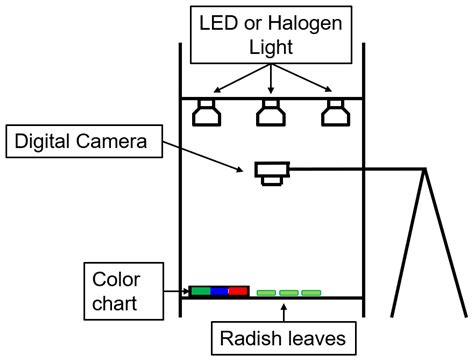 Effect Of The Light Environment On Image Based Spad Value Prediction Of Radish Leaves
