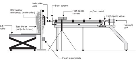 Test Fixture Schematic Download Scientific Diagram