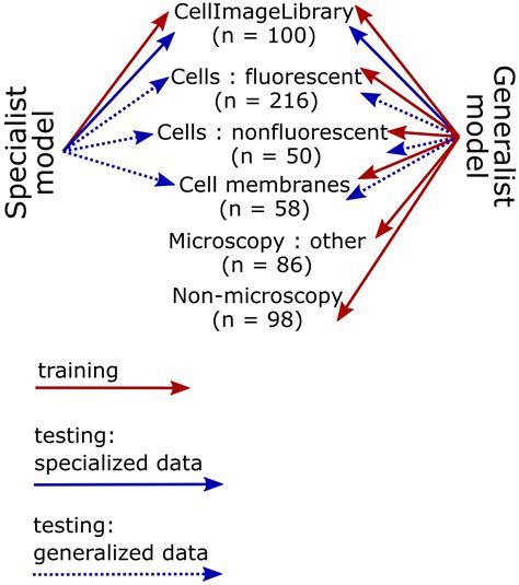 Cellpose A Generalist Algorithm For Cellular Segmentation