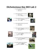 Identifying Organisms Dichotomous Key BIO Lab Guide Course Hero