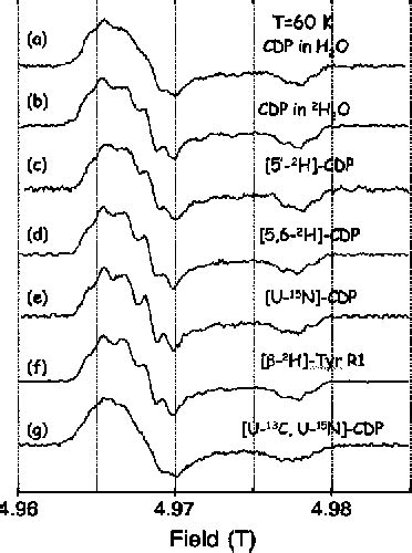 Figure 1 From Structure Of The Nucleotide Radical Formed During