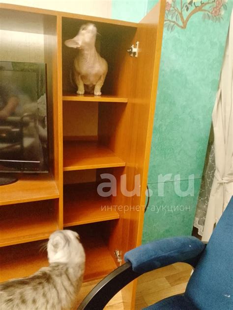 шкаф для телевизора — купить в Красноярске Состояние Б у Стеллажи тумбы шкафы на интернет