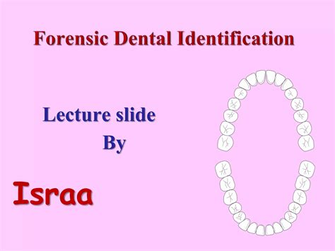 Pattern Recognition Forensic Dental Identification Ppt
