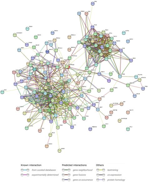String Generated Interaction Occurrence Between Differently Expressed Download Scientific