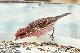 Memory Storage Faster Higher Capacity Every Year Shutterbug