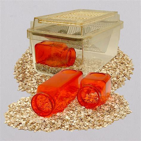 Plastic Enrichment Houses Ancare