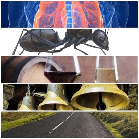 Coffin Dance Song Melody On Arduino Board And Buzzer Rarduino