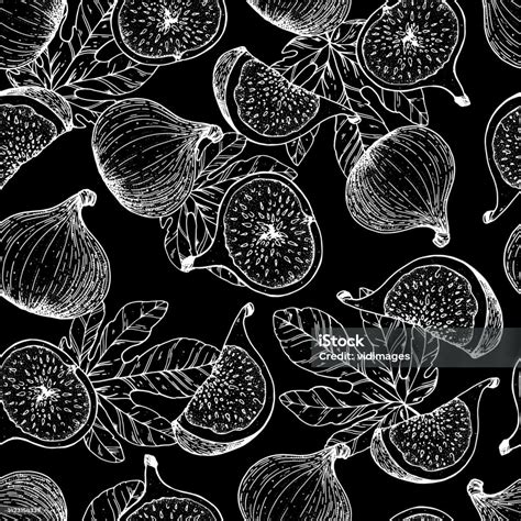 무과 과일 손으로 그린 패키지 디자인 벡터 그림입니다 디자인 패키지 브로셔 일러스트레이션 손으로 그린 무화과 원활한 패턴 복고풍