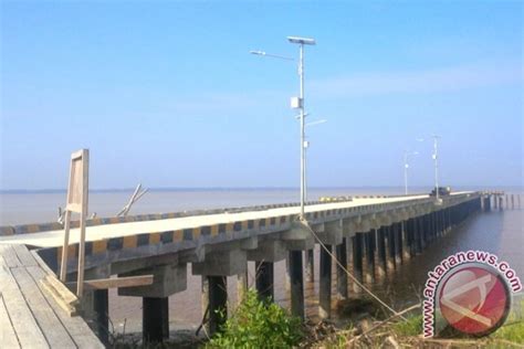 Kejayaan Bagansiapiapi Penghasil Ikan Dunia Diserukan Antara News Megapolitan