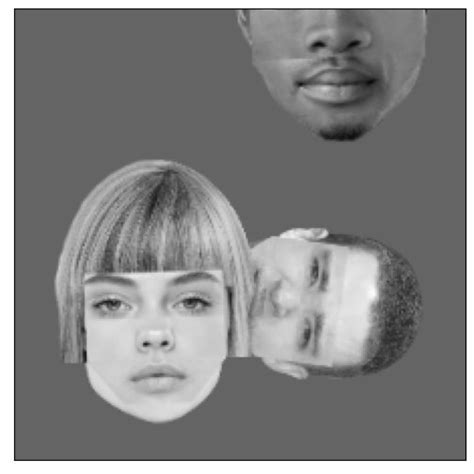 Reconstruction Examples With Our Variational Inference Vi Algorithm Download Scientific