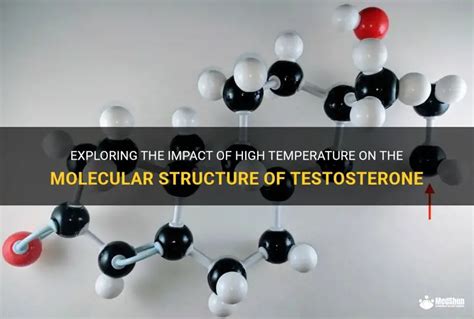 Exploring The Impact Of High Temperature On The Molecular Structure Of