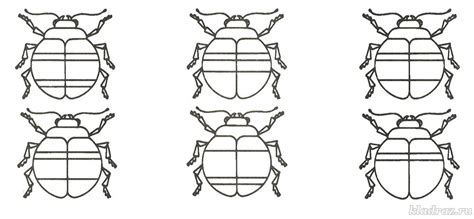 Развивающее упражнение для детей 5 7 лет Найди двух одинаковых жуков и раскрась их