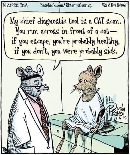 Cat Scan Always Works R Puns