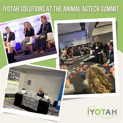 Nancy Anton Posted On Linkedin