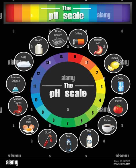 Science PH Scale Template Stock Vector Image Art Alamy
