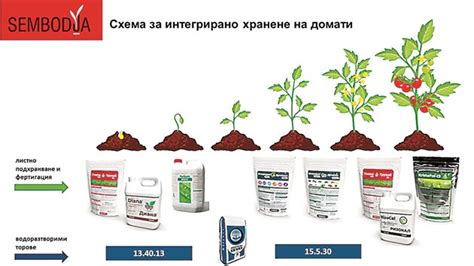 Сембодиа нови листни торове и стимуланти за производство на зеленчуци Български Фермер