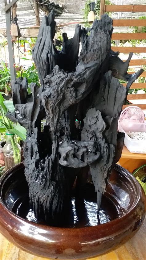 ขายตอไม้จัดสวนถา รับสอนจัดสวนถาด จำหน่ายอุปกรณ์จัดสวนถาด Facebook