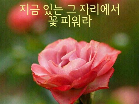 4050중년들의 아늑한 쉼터 BAND