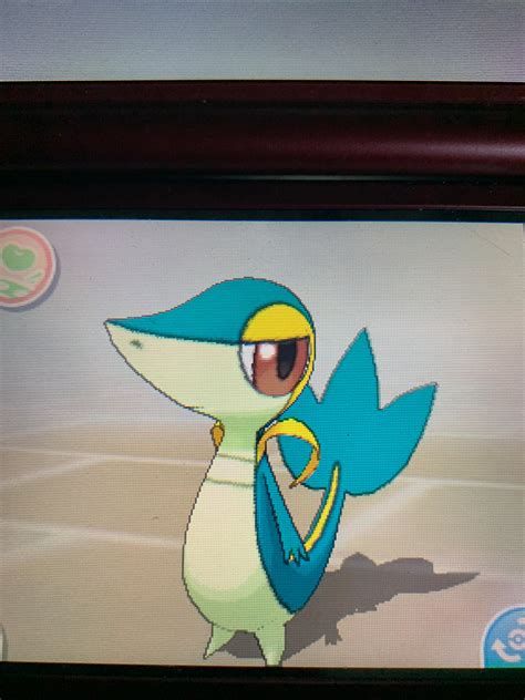 Shiny Snivy By Kaijuinfinity On Deviantart