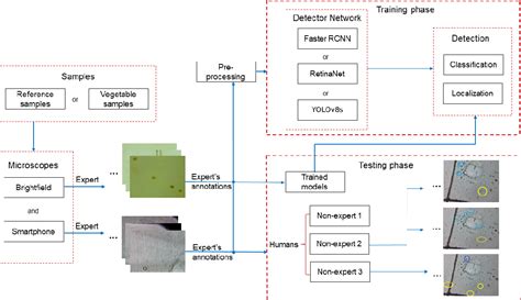 Figure 1 From Deep Learning Assisted Detection And Quantification Of Oo Cysts Of Giardia And